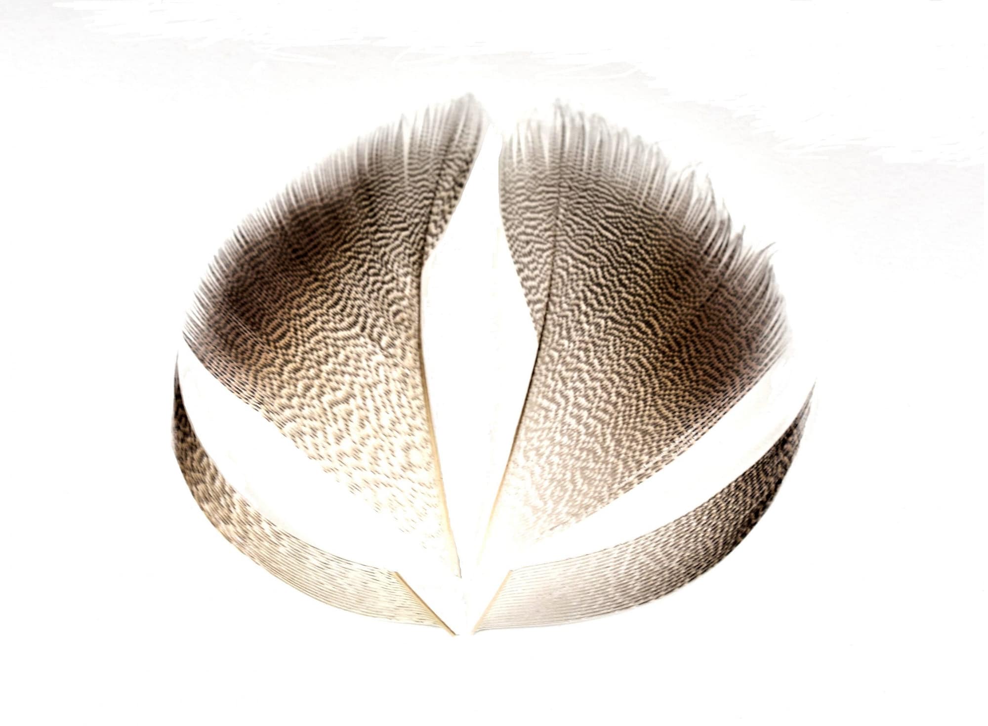 perfect Spey Fly? How to tie the easiest way - dennis p lee